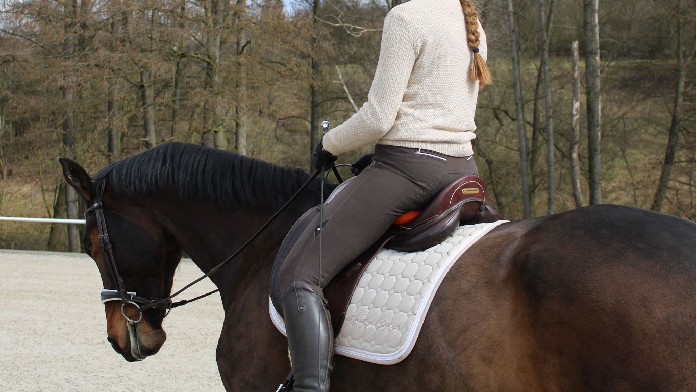 Equitation in balance - Kateřina Toušková - Franklin Method